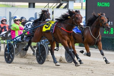 EPIC – Exhibition Park in Canberra